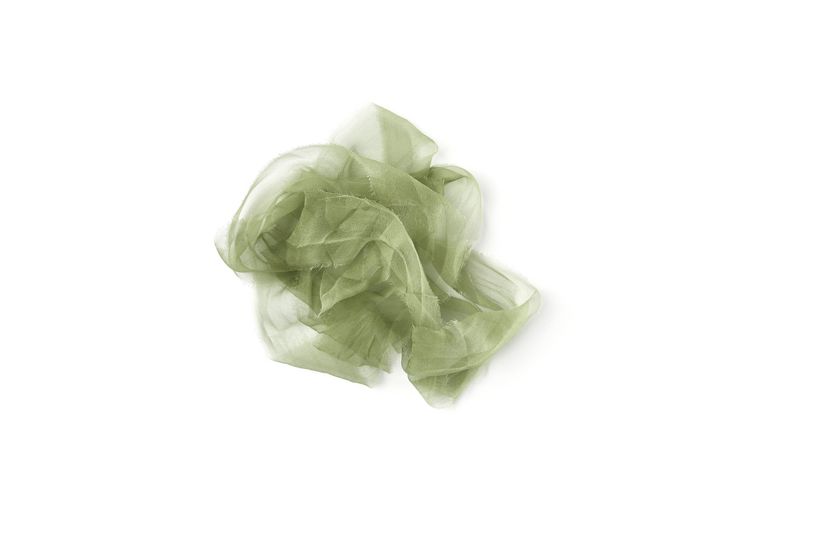 Gossamer Ribbon in Fern - شريط طونو و كو | BLUMEN Floral Art and Design
